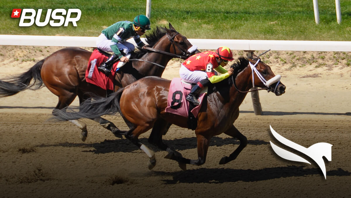 2025 Pegasus World Cup Contenders - BUSR Racebook